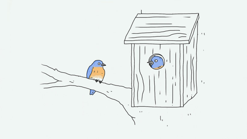 Online Course - Comic Strip Creation: Illustrating Unique Stories ...